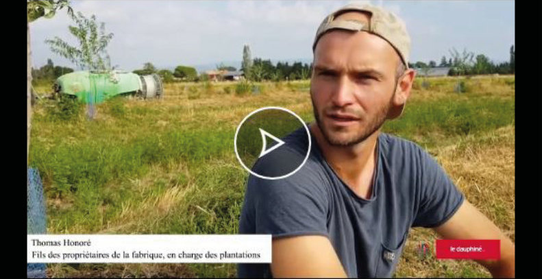 Le projet "amandes" dévoilé par Thomas