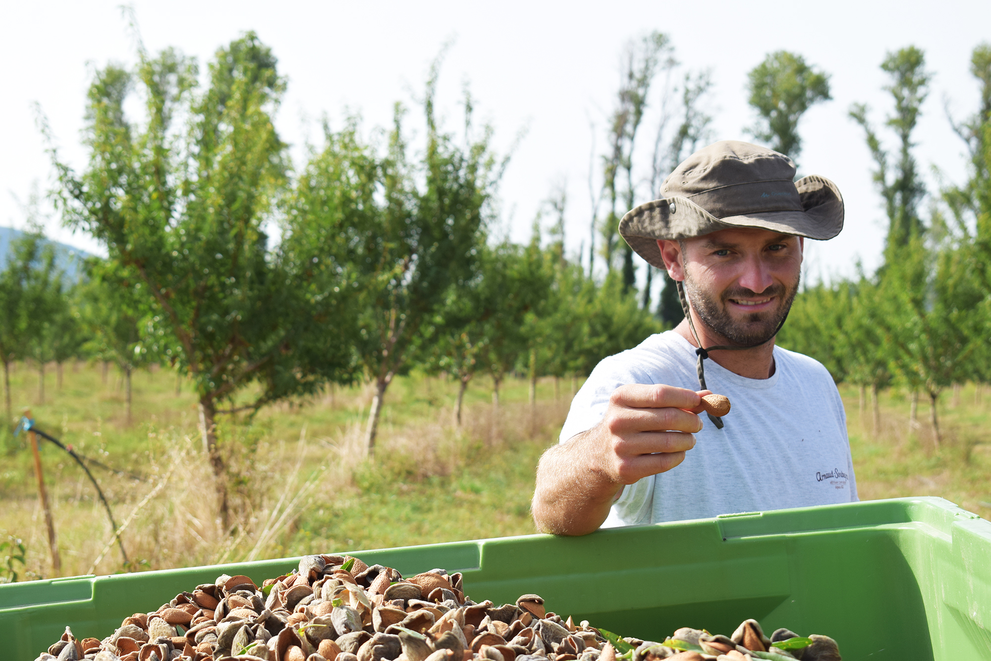 Les amandes de Thomas dans Le Dauphiné Libéré
